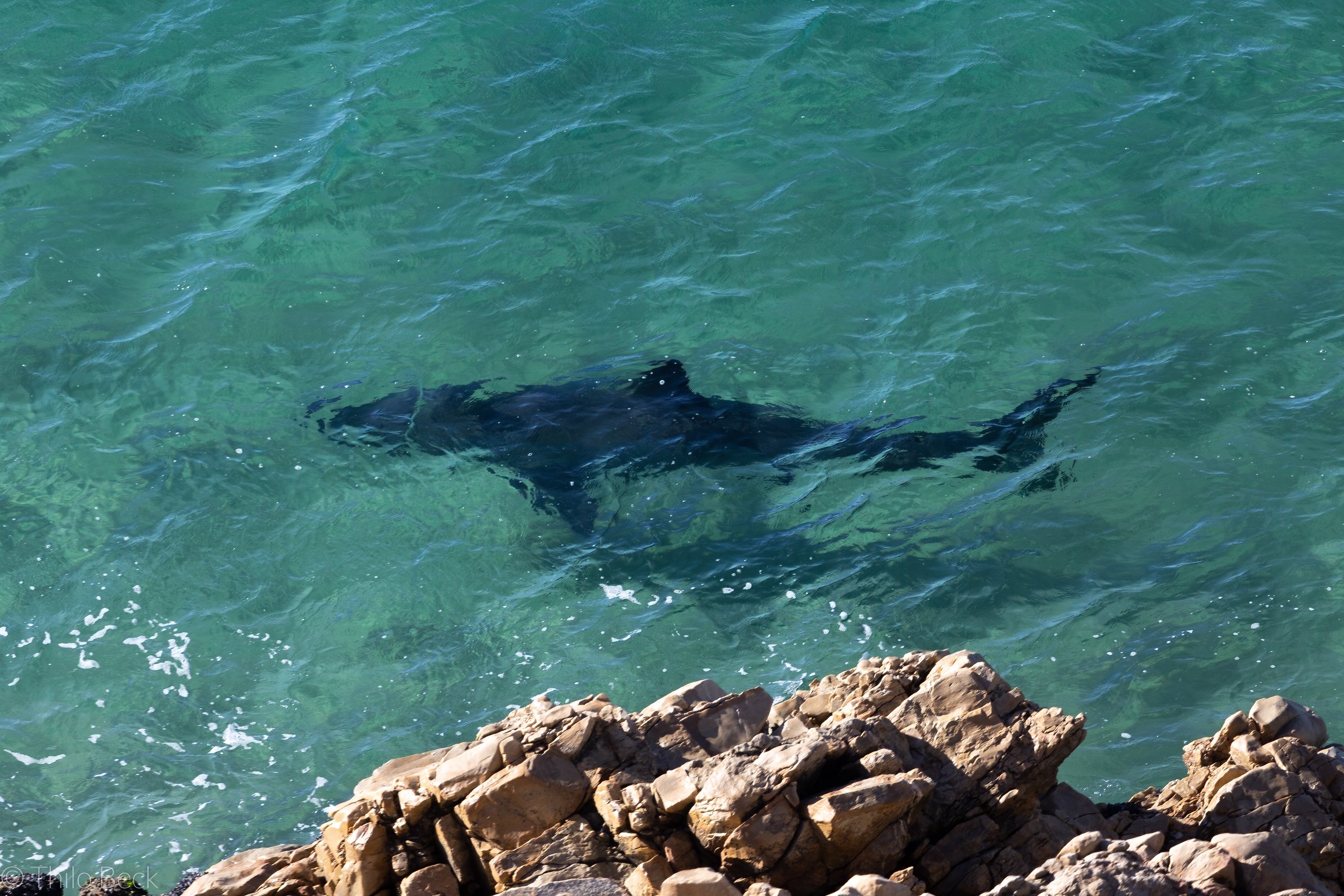 Exploring the natural wonder of the Garden Route