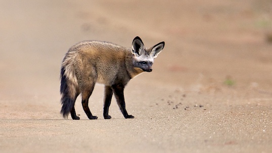 11 of the best 4x4 trails in Southern Africa